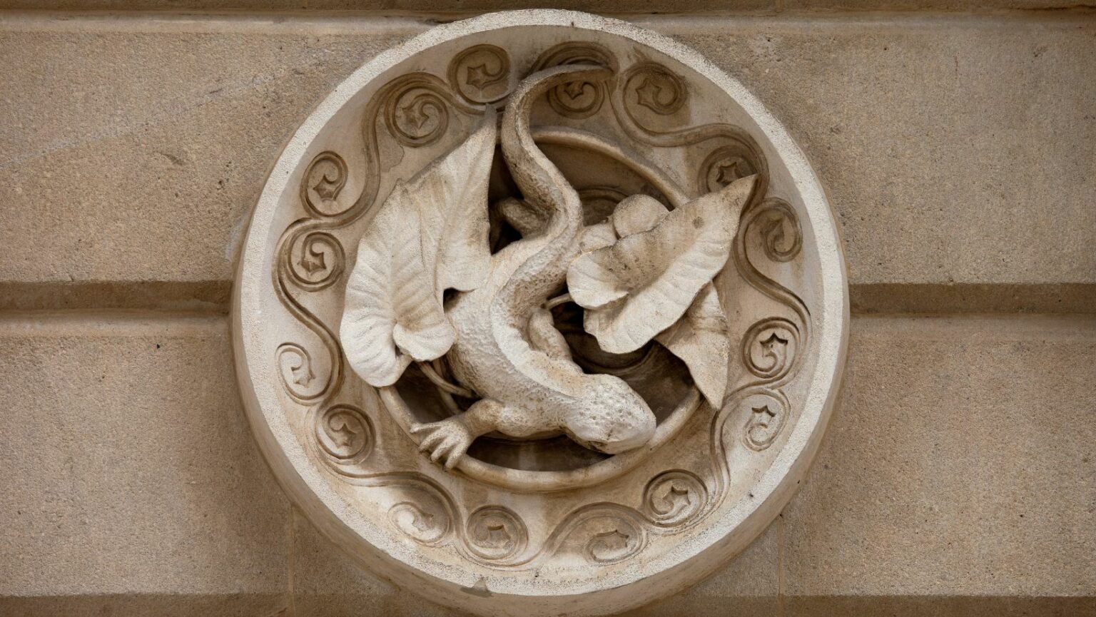 Exploring Lizard Art: Vibrant Expressions of Nature and Ecological ...
