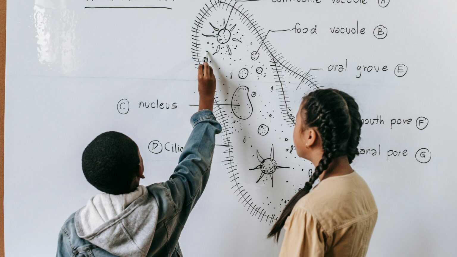 Unlock Your Creativity: The Vibrant World of Dry Erase Art for Home and ...